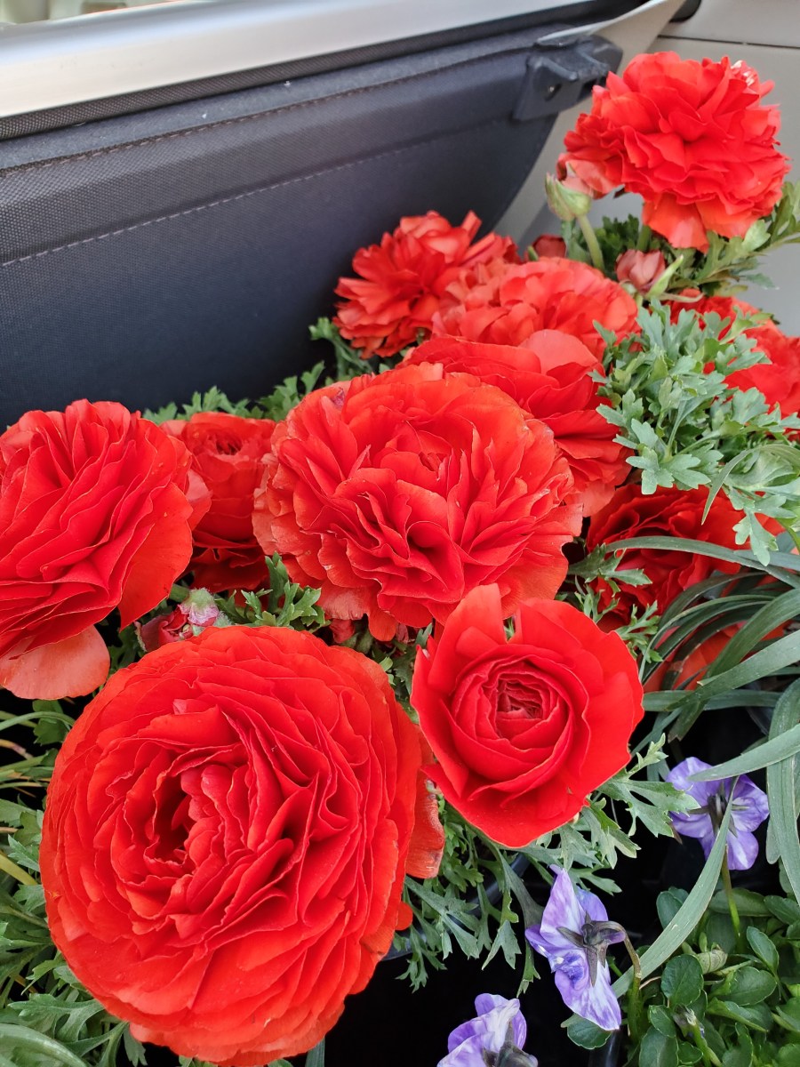 God of Fear – barb j beyers