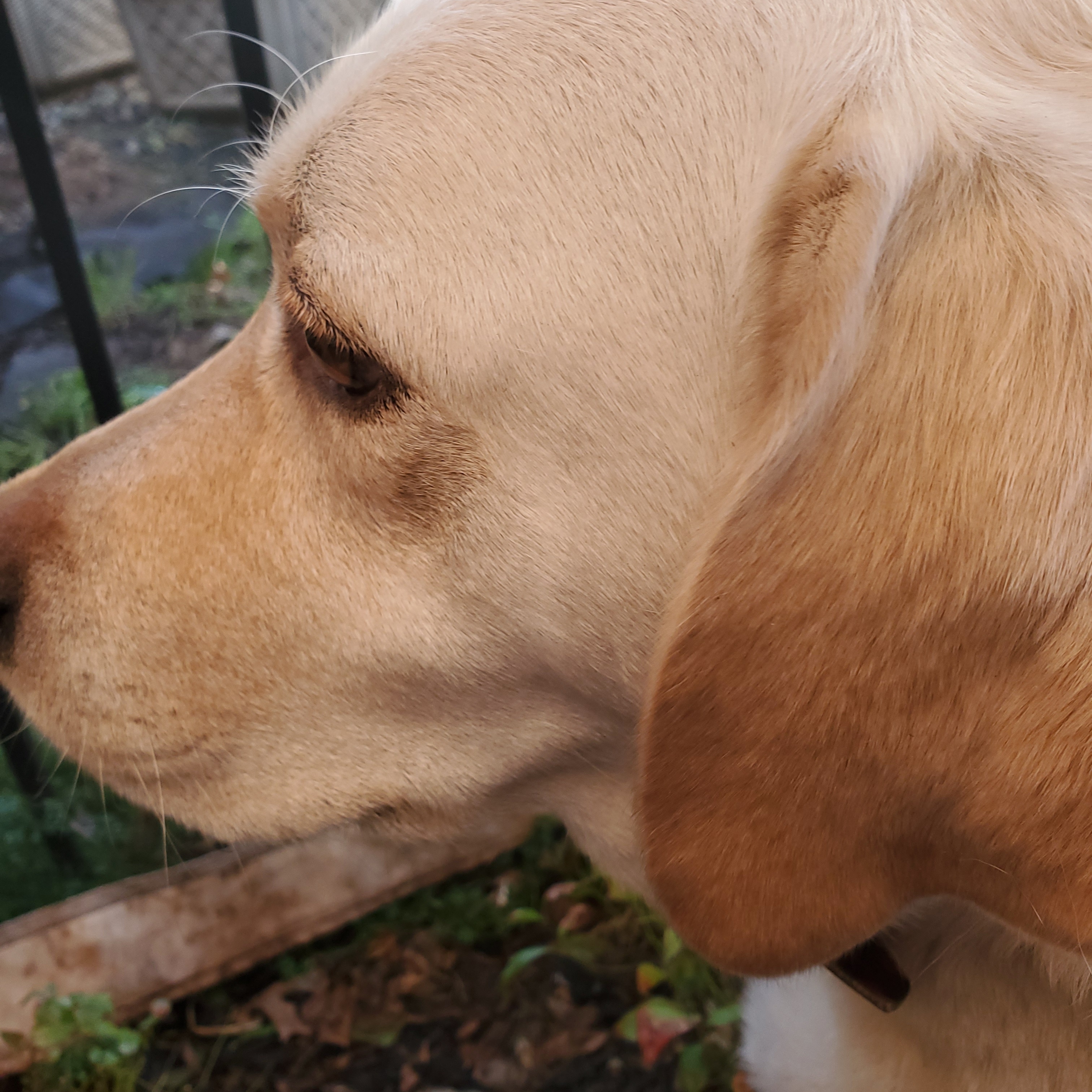 barb j beyers – barbles and barblings, musings and marvelings