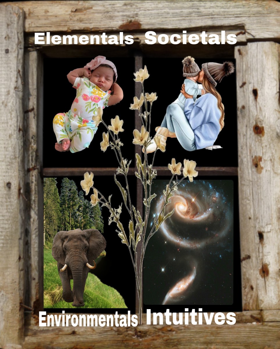 Evolution – barb j beyers