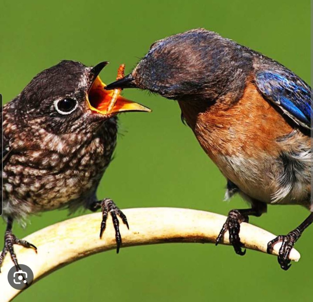 Love is Immutable – barb j beyers