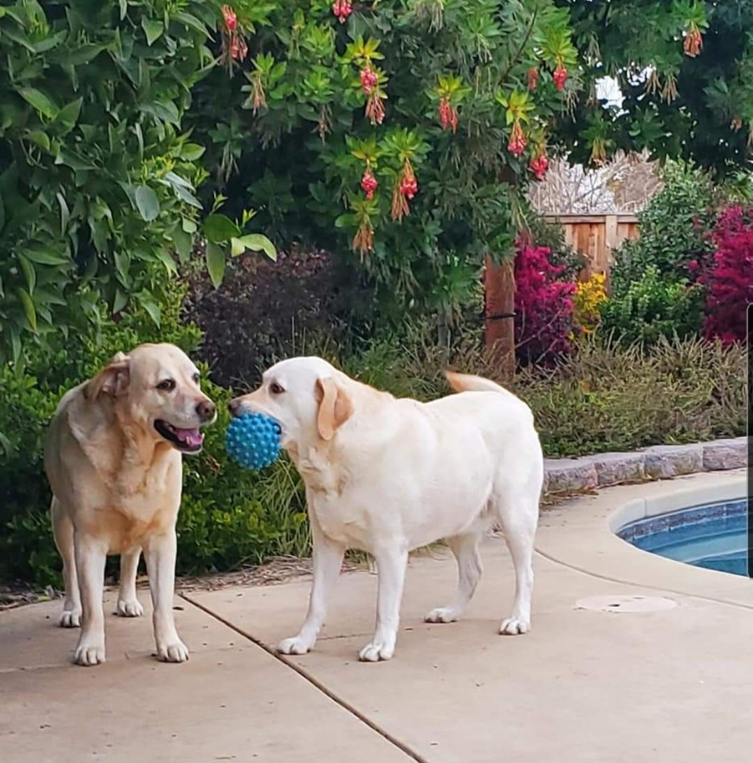 barb j beyers – barbles and barblings