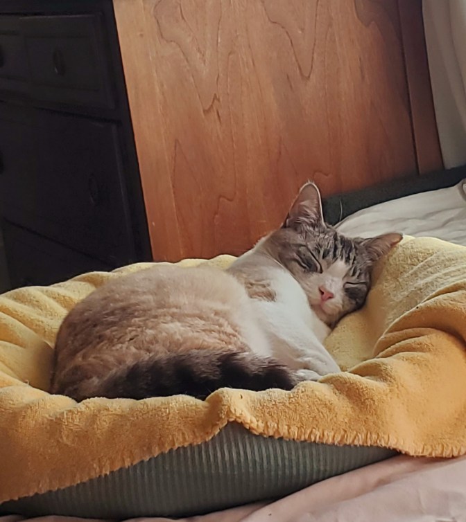 barb j beyers – barbles and barblings