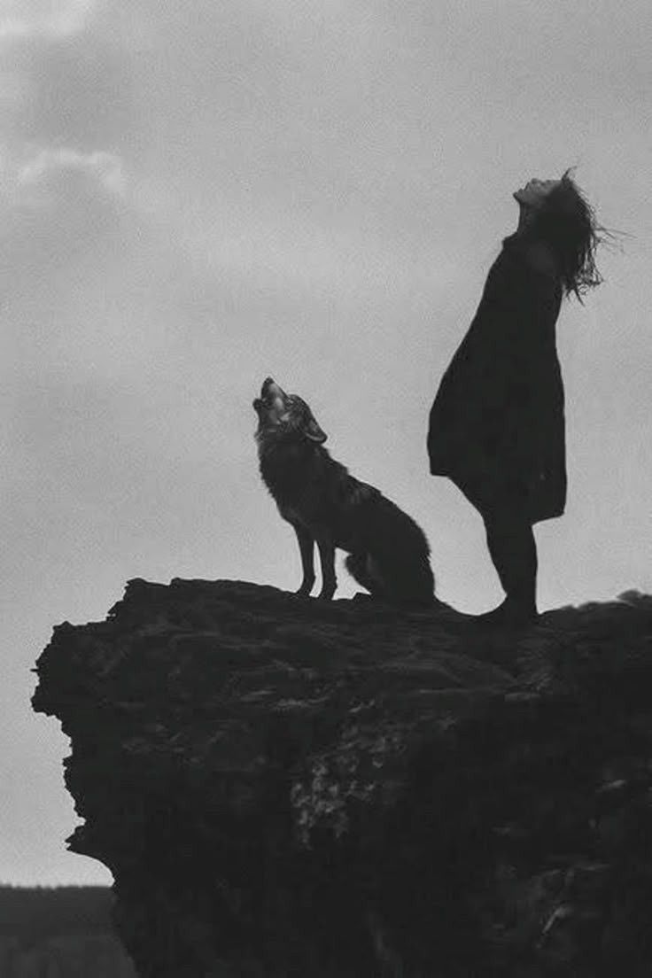 Wail Rage – barb j beyers